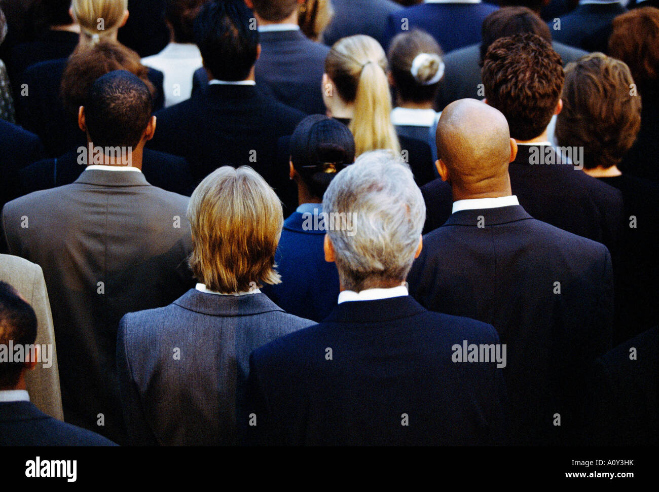 Rear view of business executives in a seminar Stock Photo - Alamy