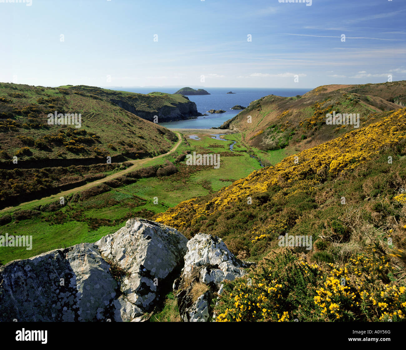 View to sea and beach from coast path near Lower Solva Pembrokeshire ...