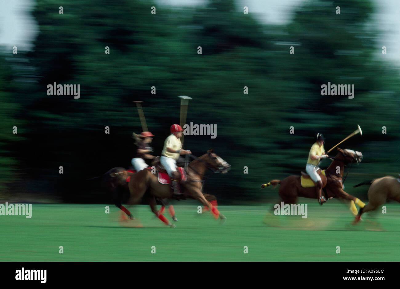 Side profile of three people playing polo Stock Photo - Alamy
