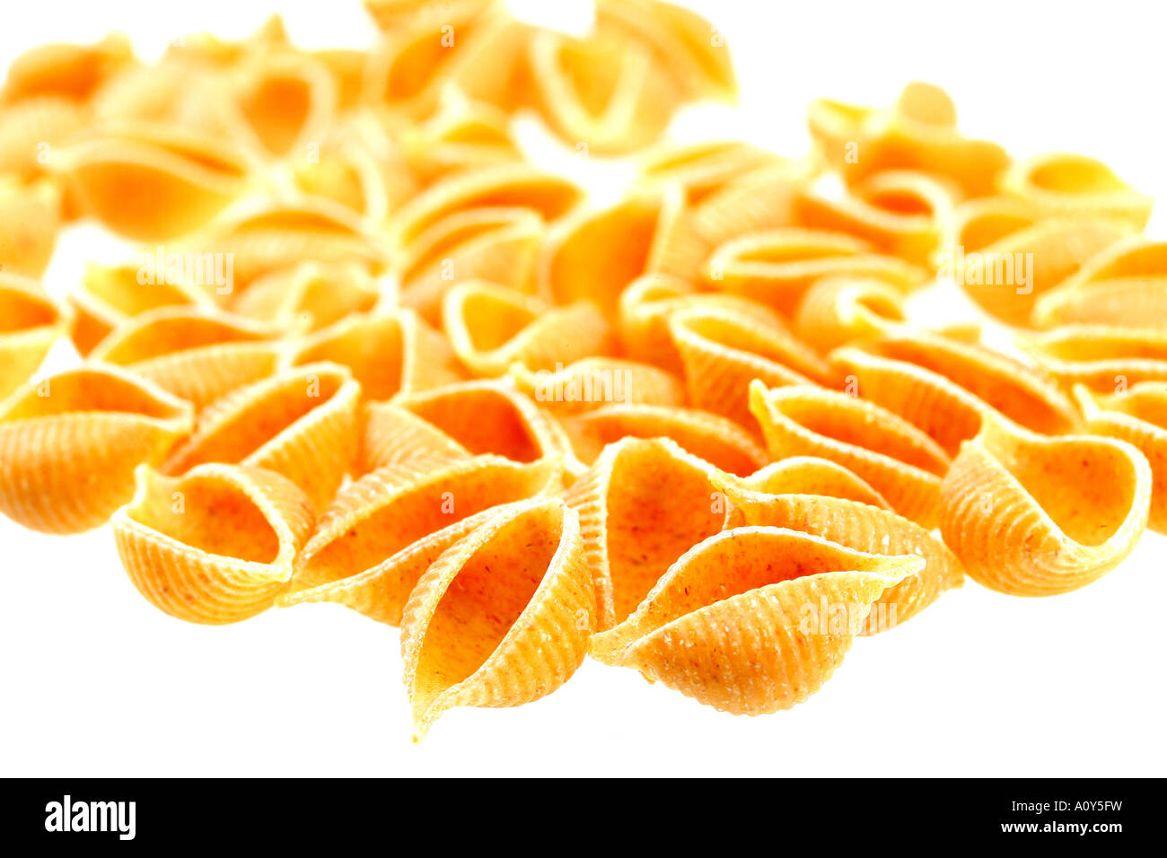 Wholewheat Conchiglie Pasta Stock Photo - Alamy
