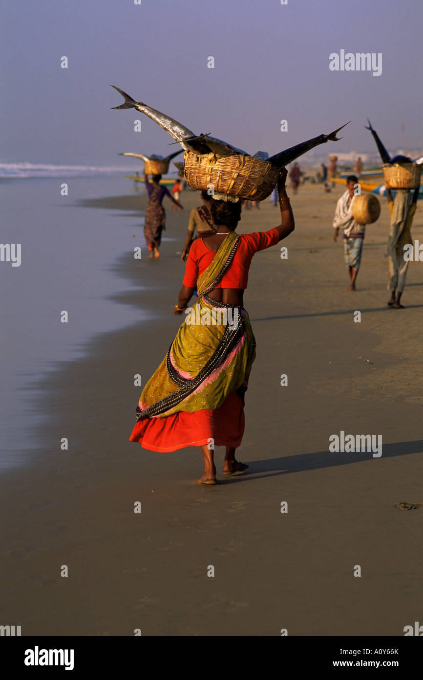 Women carrying fish catch to the market of fishing village Puri Orissa ...