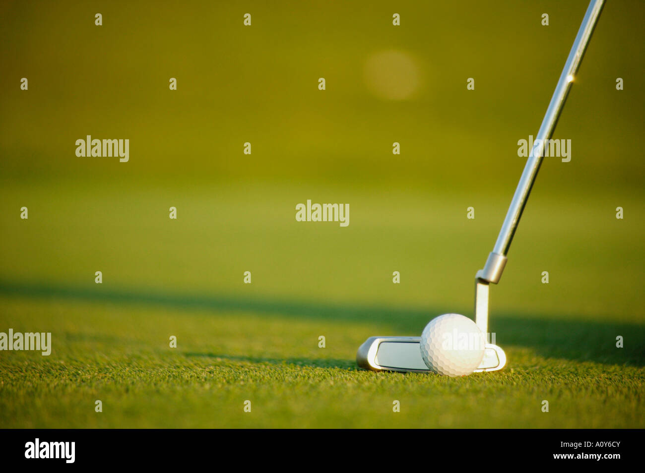 Closeup of putter and ball Stock Photo - Alamy