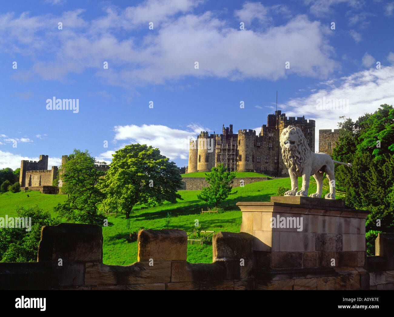 Percy lion hi-res stock photography and images - Alamy