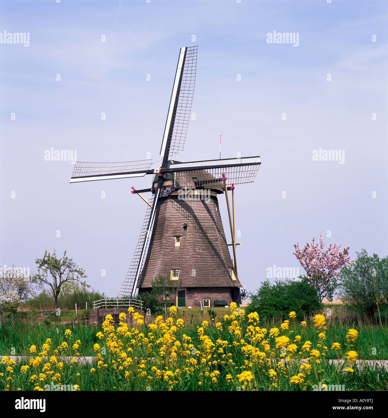 Windmill Kinderdijk near Rotterdam Holland Europe Stock Photo - Alamy