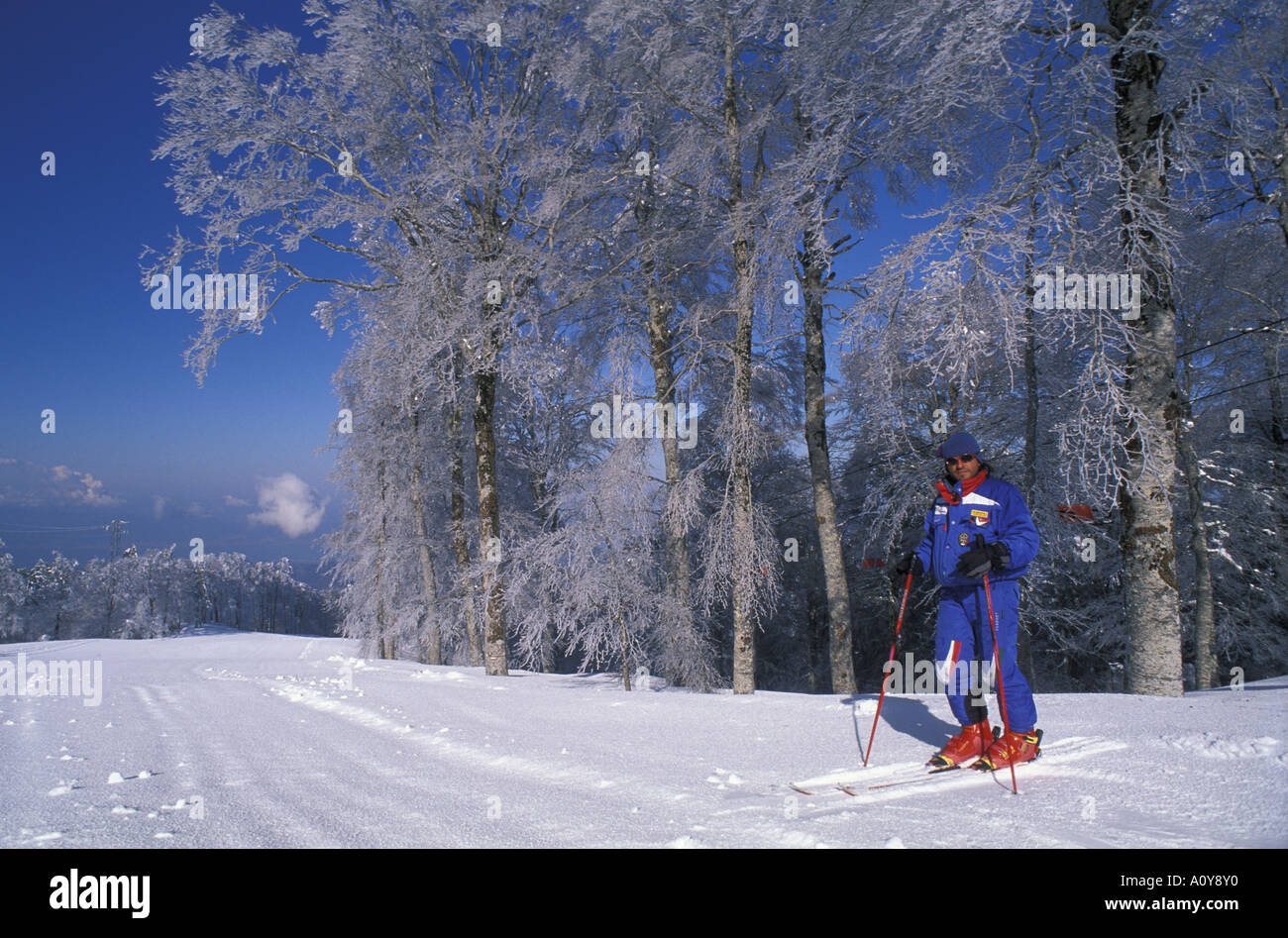 Gambarie hi-res stock photography and images - Alamy