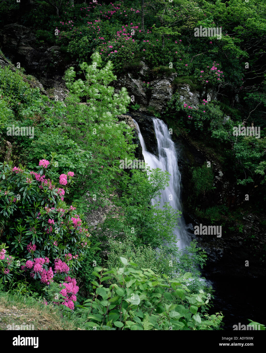 Inversnaid Waterfall Loch Lomond Stirling Central Region Scotland ...