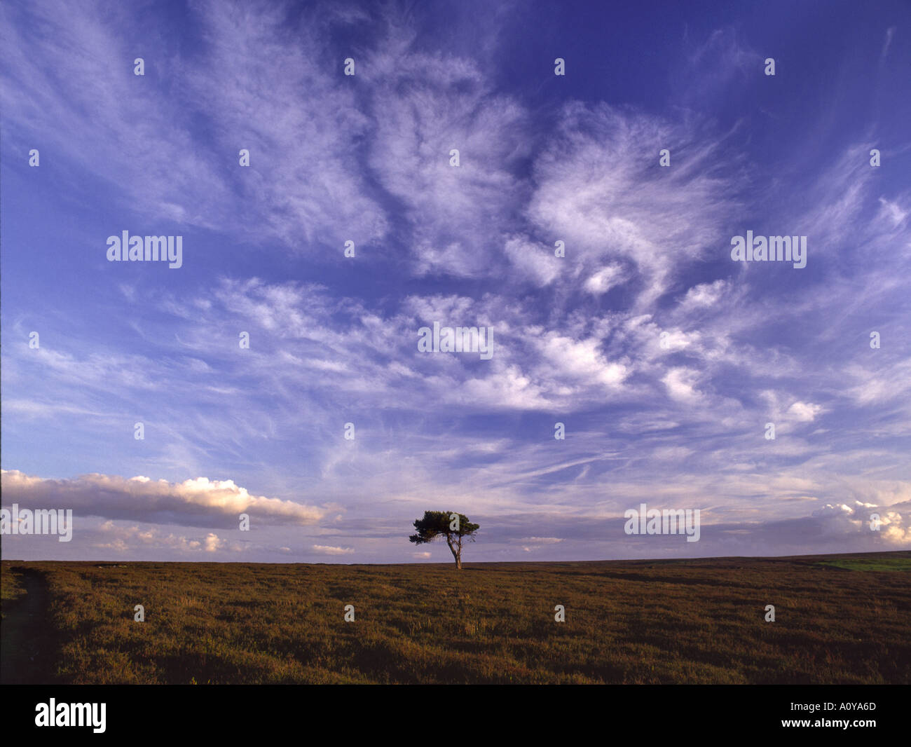 Big Sky Egton Moor North York Moors National Park England Stock Photo ...