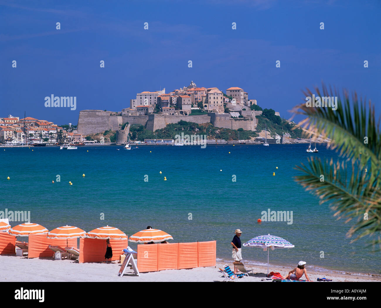 Calvi corsica beaches hi-res stock photography and images - Alamy