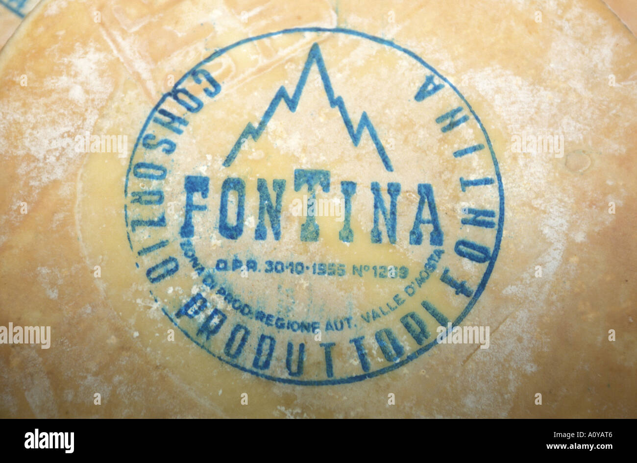 Fontina Logo Yellow Door Creamery Mayan Cocoa Coffee Fontina (per Lb)