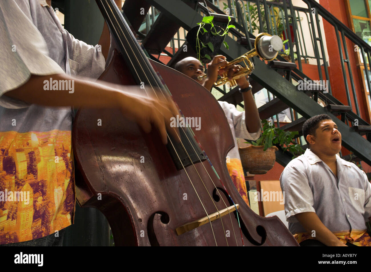 Close up of counterbass with trumpet player part of traditional band ...