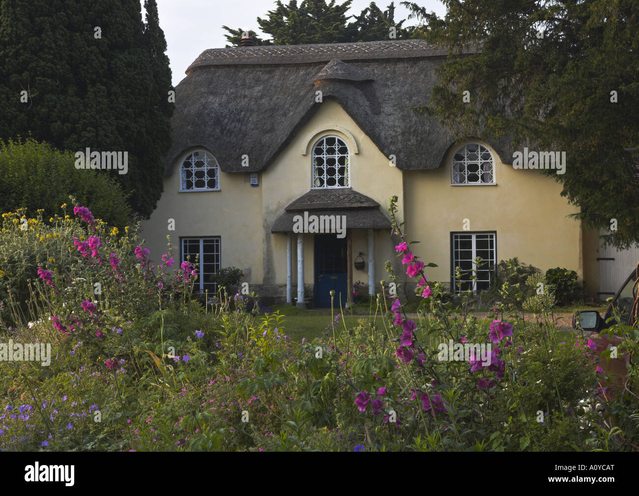 An unusual thatched cottage on Church Lane Wool Stock Photo - Alamy