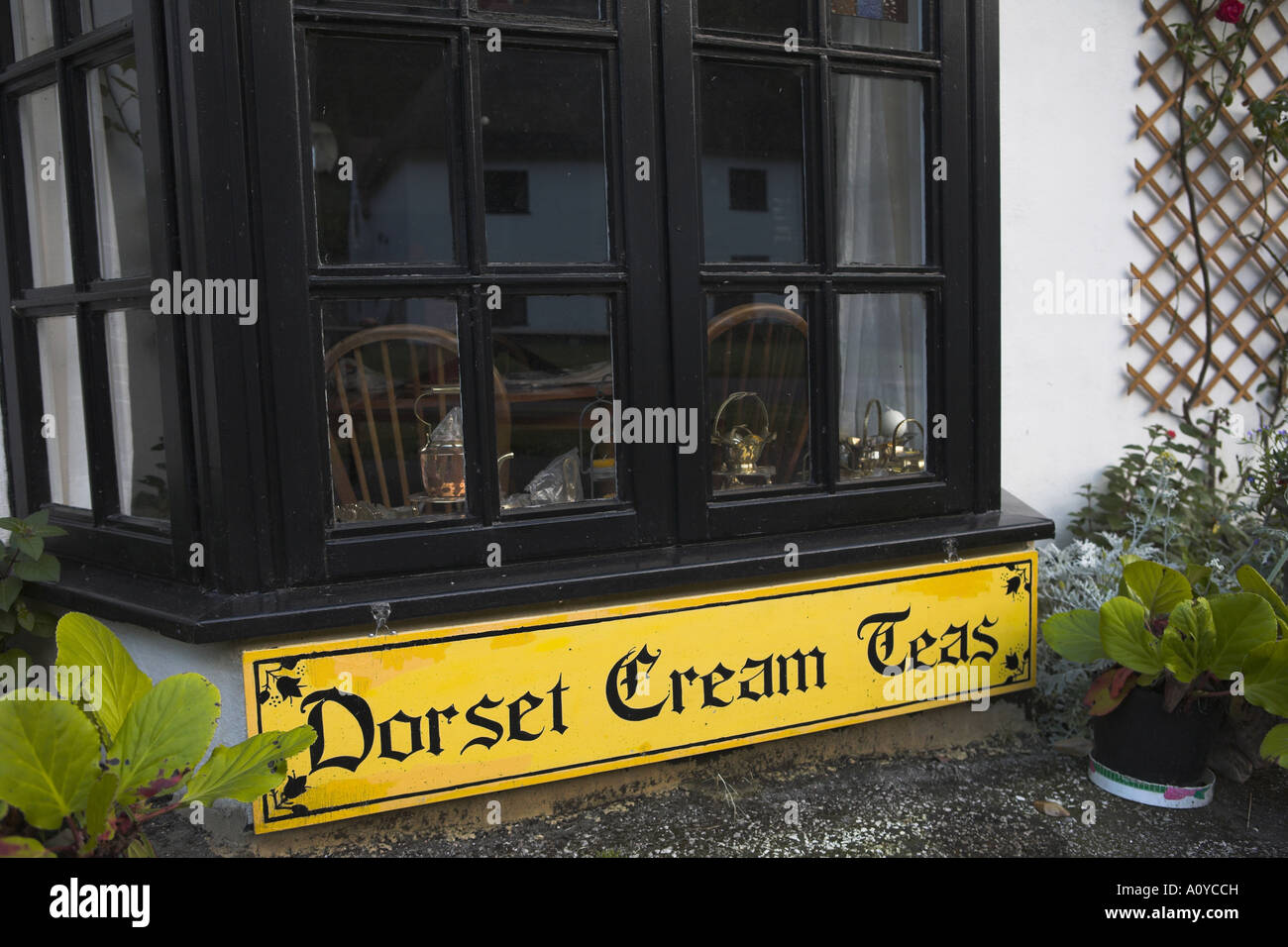 A sign advertising Dorset Cream Teas Stock Photo - Alamy