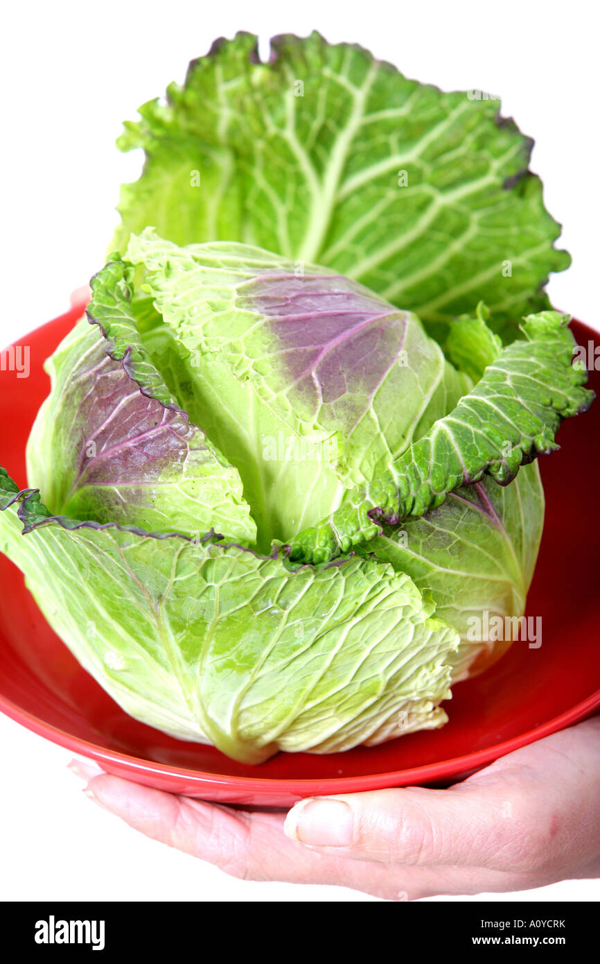 Mature Woman Holding Cabbage on a Plate Model Released Stock Photo - Alamy