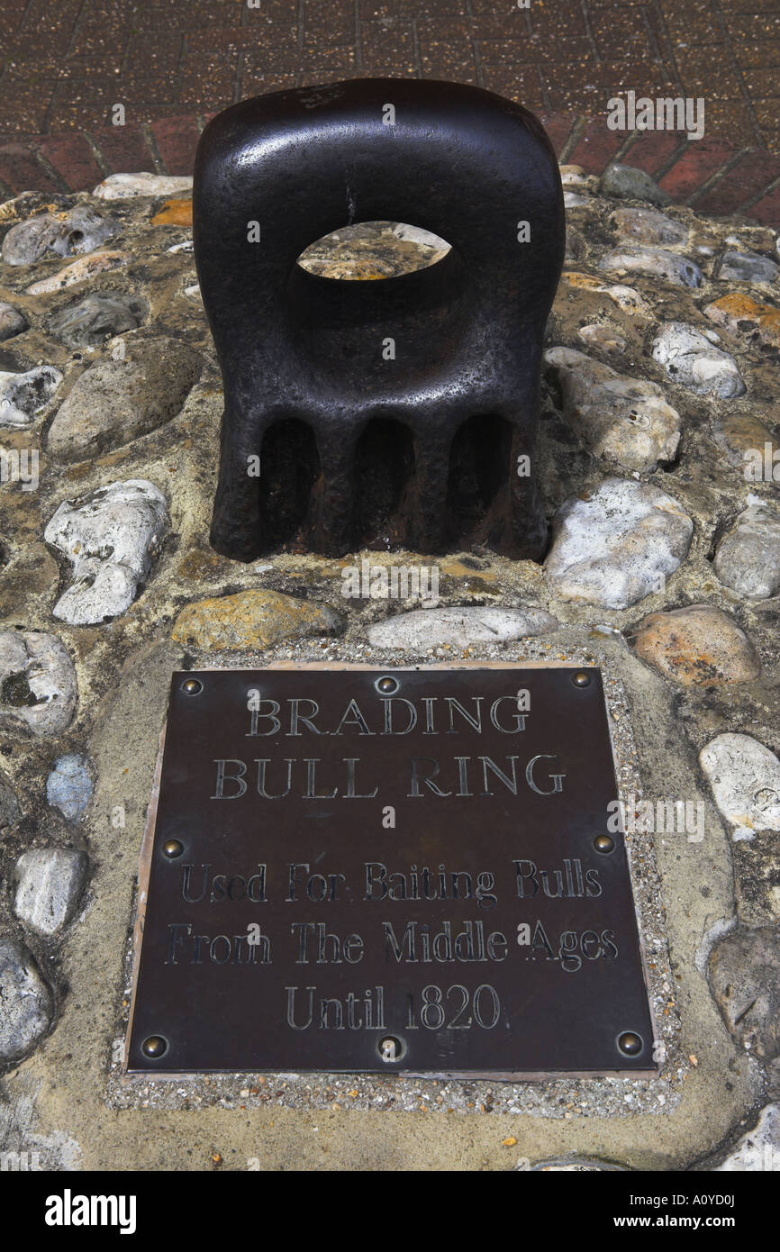 The Brading Bull Ring used for Baiting Bulls from the Middle Ages up ...