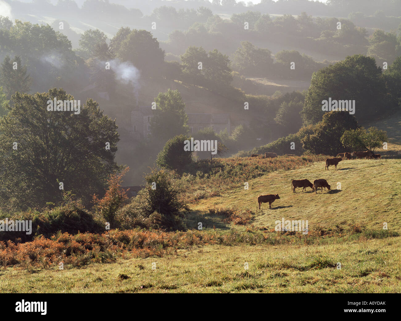 Countryside near Poitiers Poitou Charentes France Europe Stock Photo ...