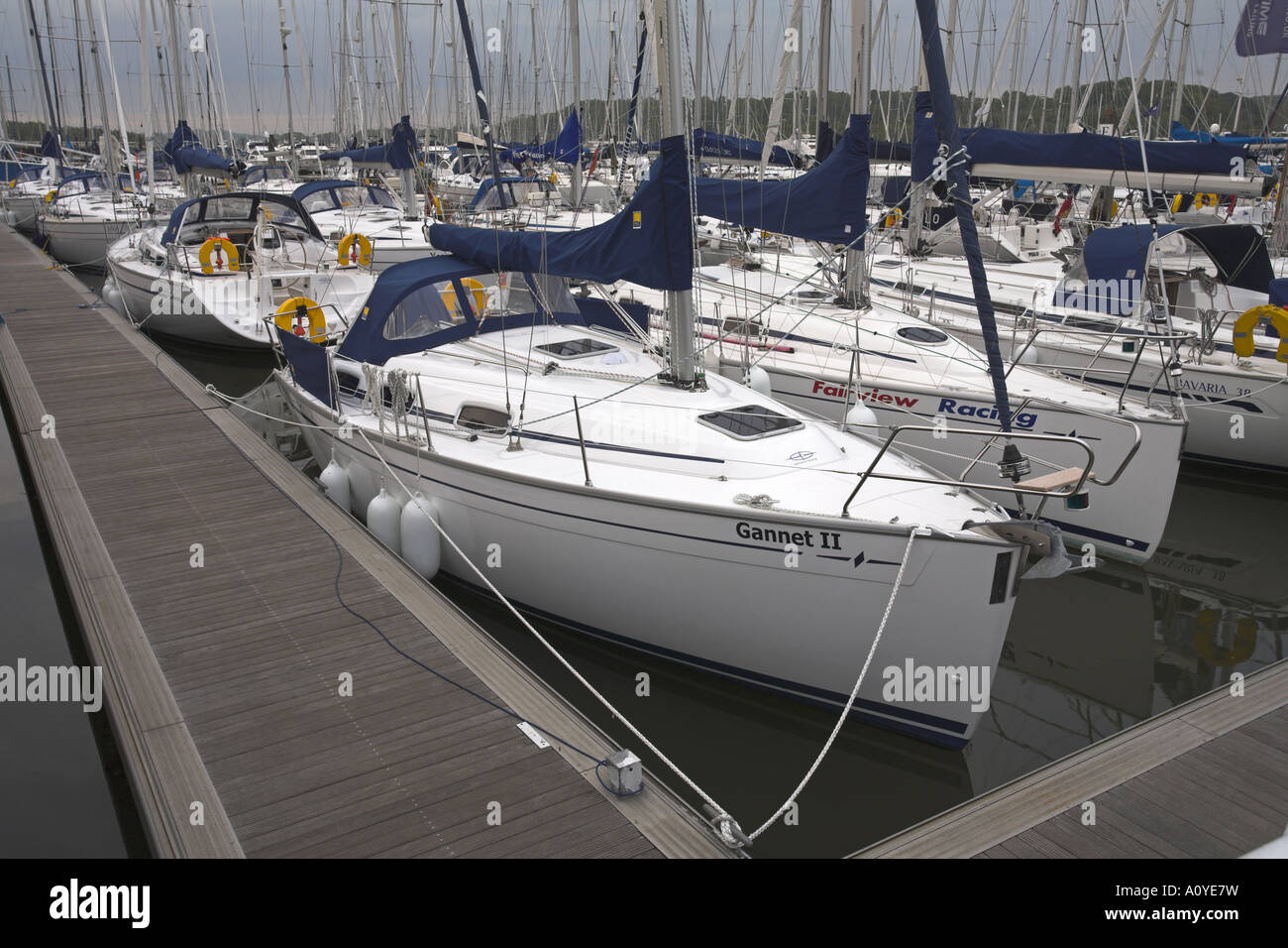 Fabulous yachts tightly packed at Port Hamble marina Stock Photo - Alamy