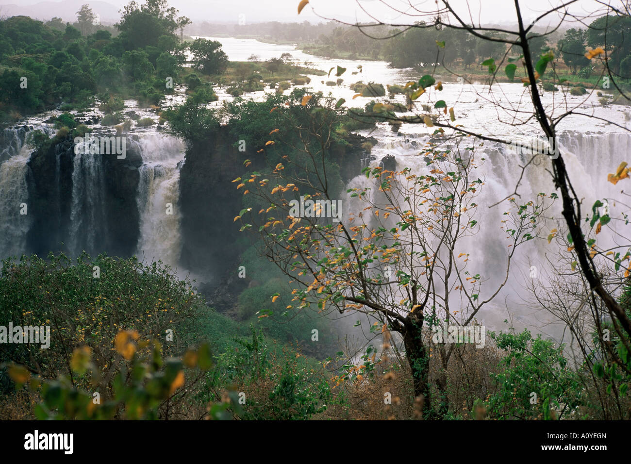 Blue Nile falls Lake Tana area Gondar region Ethiopia Africa Stock ...