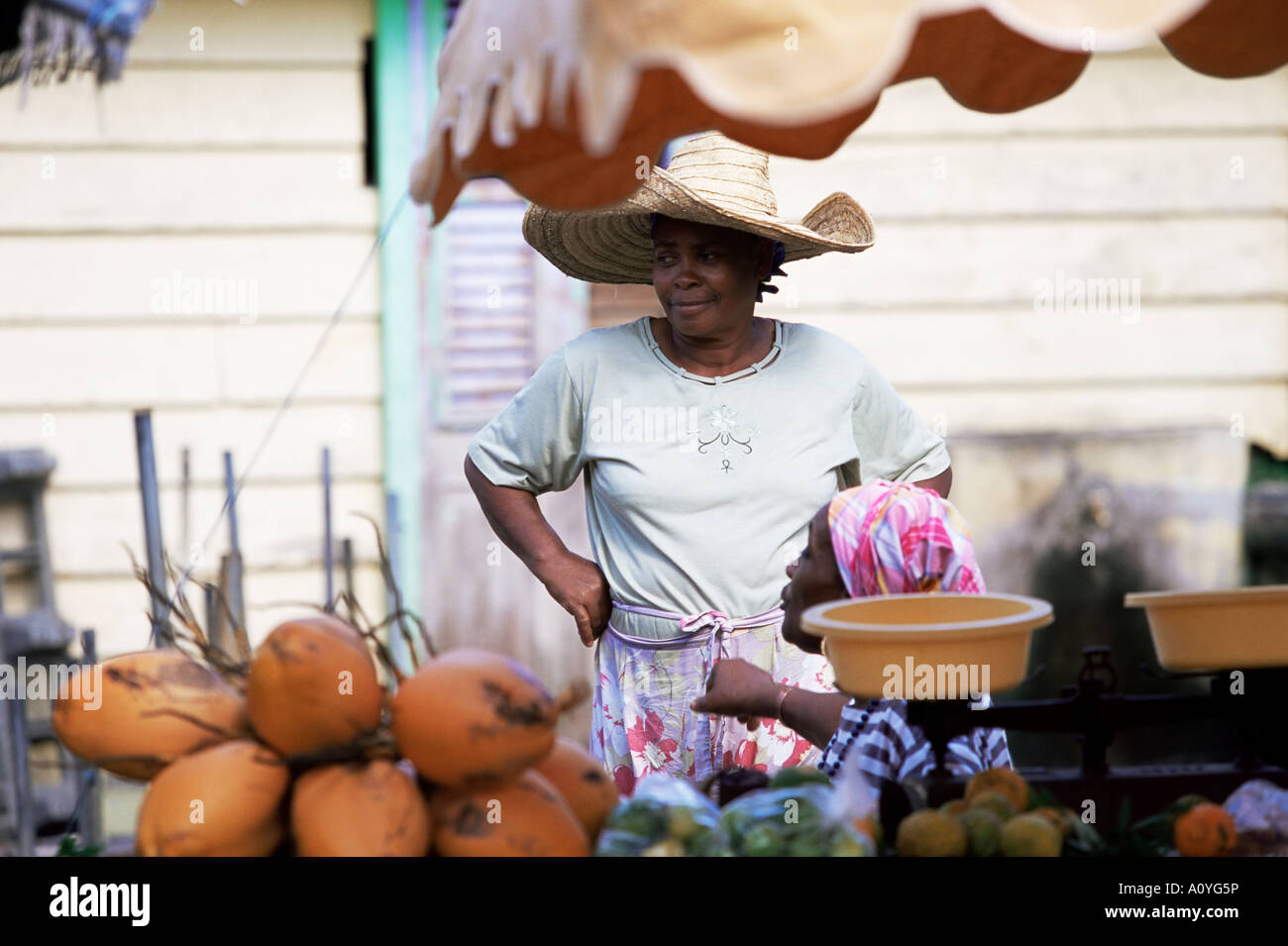 Vendor at local vegetable market Fort de France Martinique Lesser ...