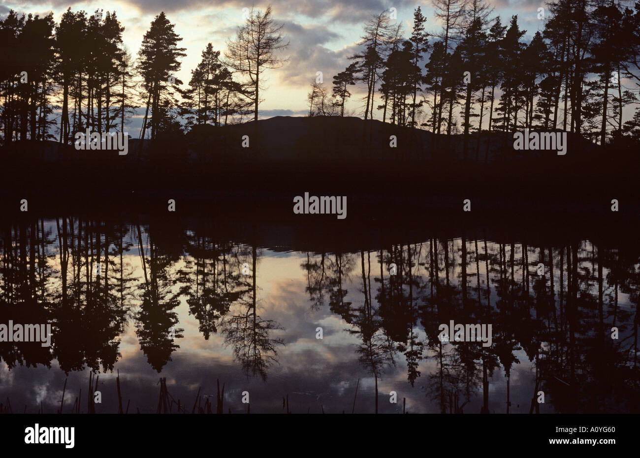Scaur Glen Penpont Dumfries Scotland UK Stock Photo - Alamy