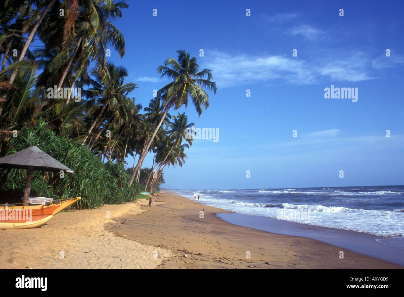 Tropical beach in the Bahamas in the Caribbean Stock Photo - Alamy
