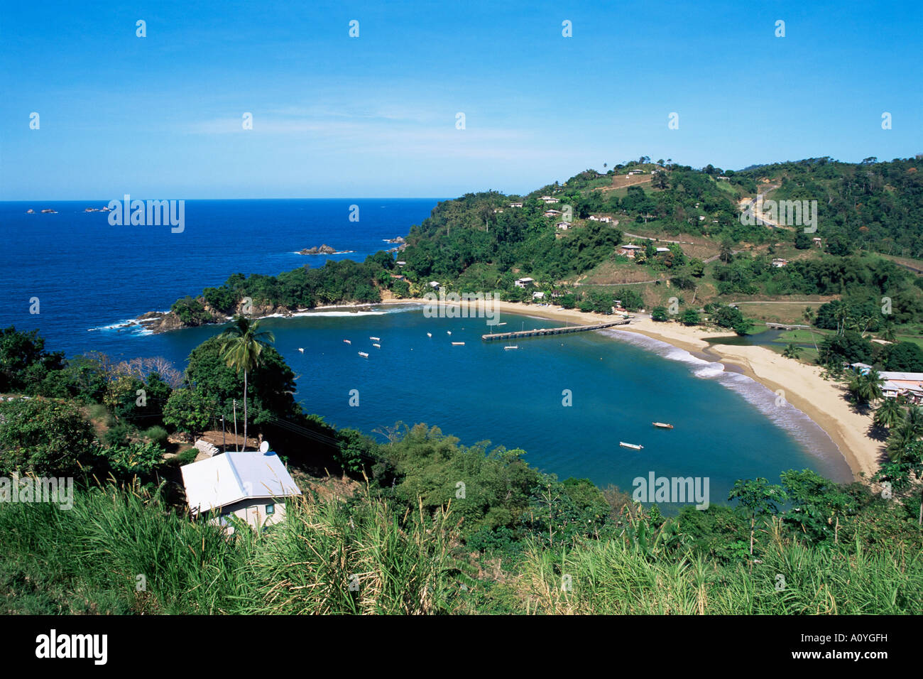 Parlatuvier Bay Tobago West Indies Caribbean Central America Stock ...
