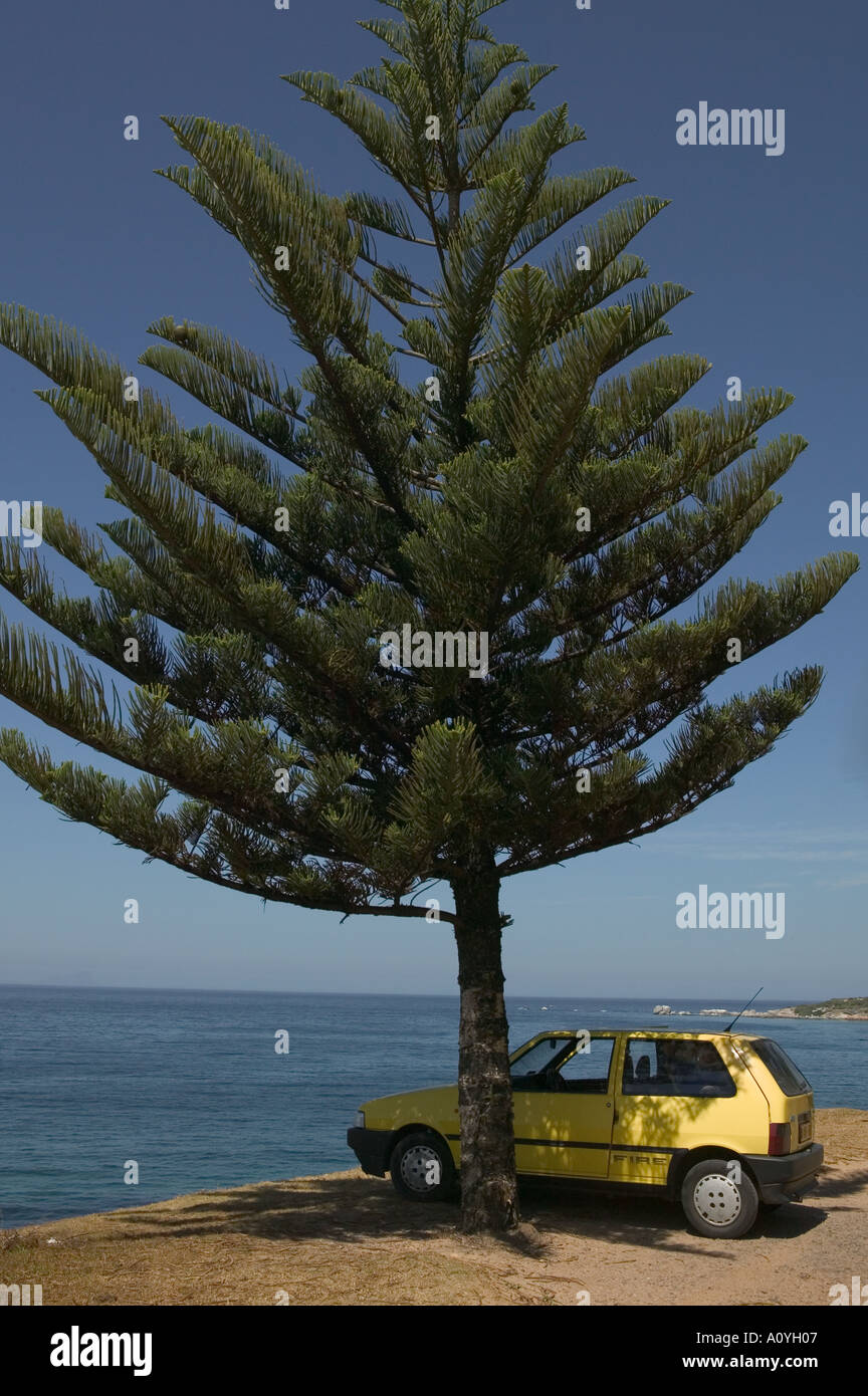 finding shadow under tree Stock Photo - Alamy