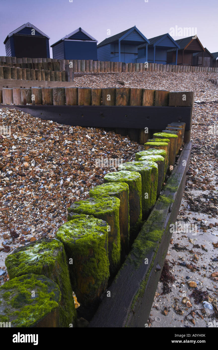 Seaweed covered groynes leading up to beach huts Stock Photo - Alamy