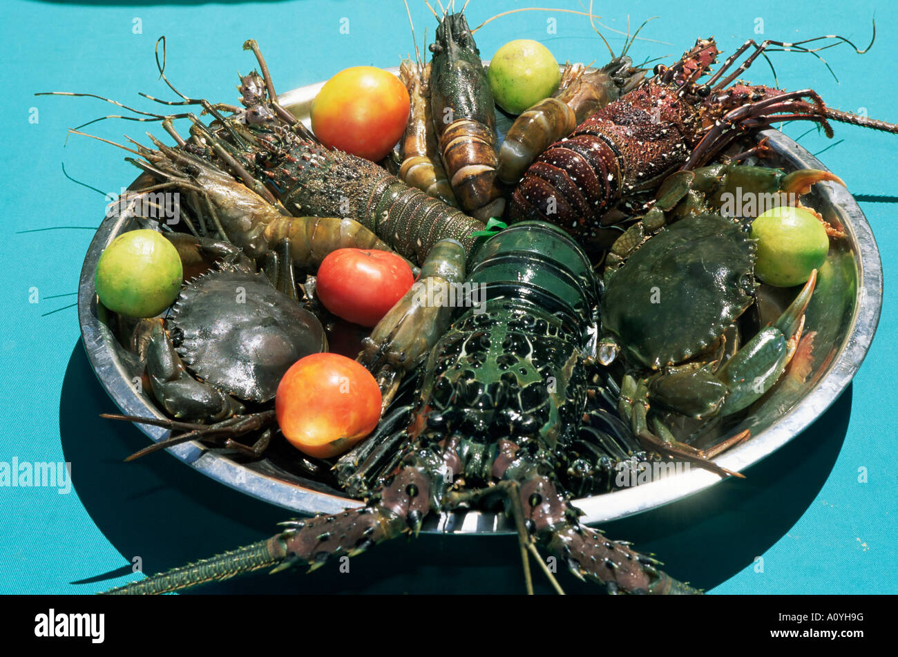 Plate of seafood Sri Lanka Asia Stock Photo - Alamy