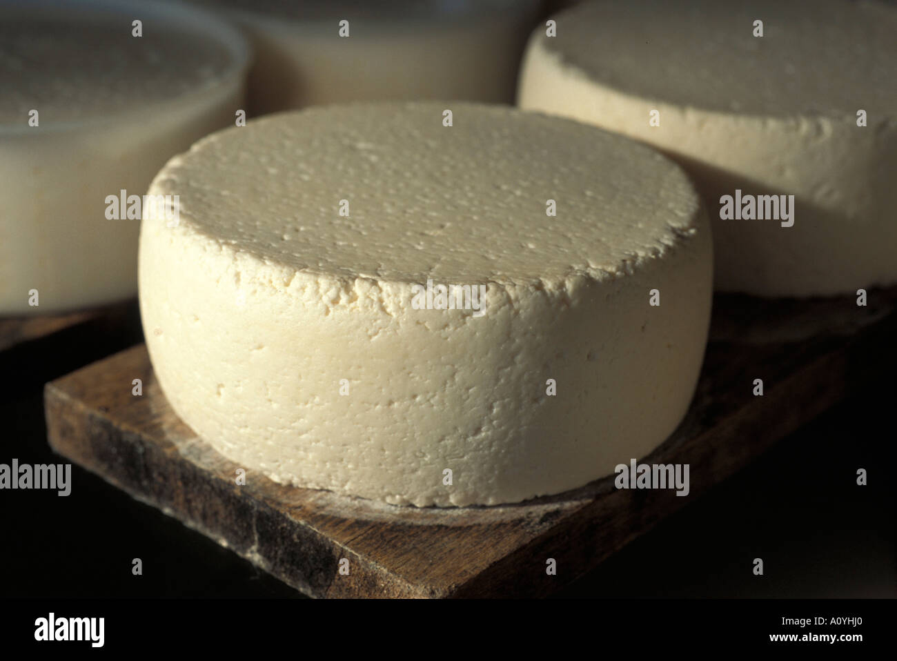 Bidini hi-res stock photography and images - Alamy