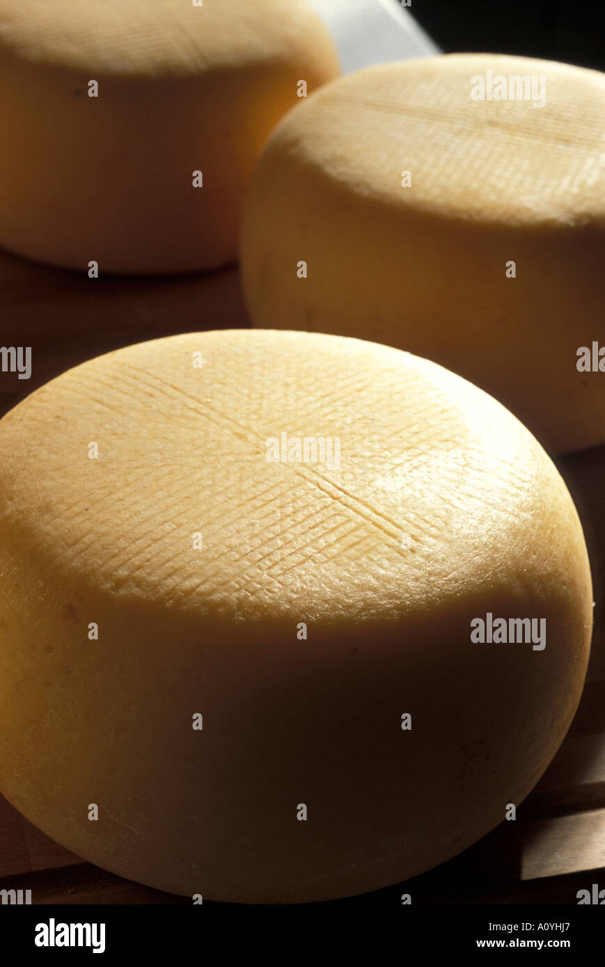 Ricotta cheese Bidini farm Vitereta Tuscany Italy Stock Photo - Alamy