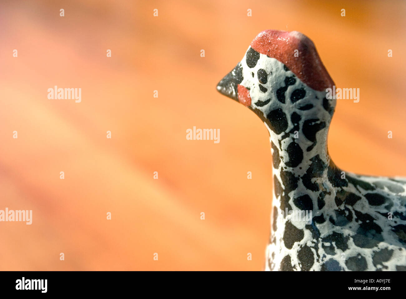 chicken head portrait details Stock Photo - Alamy