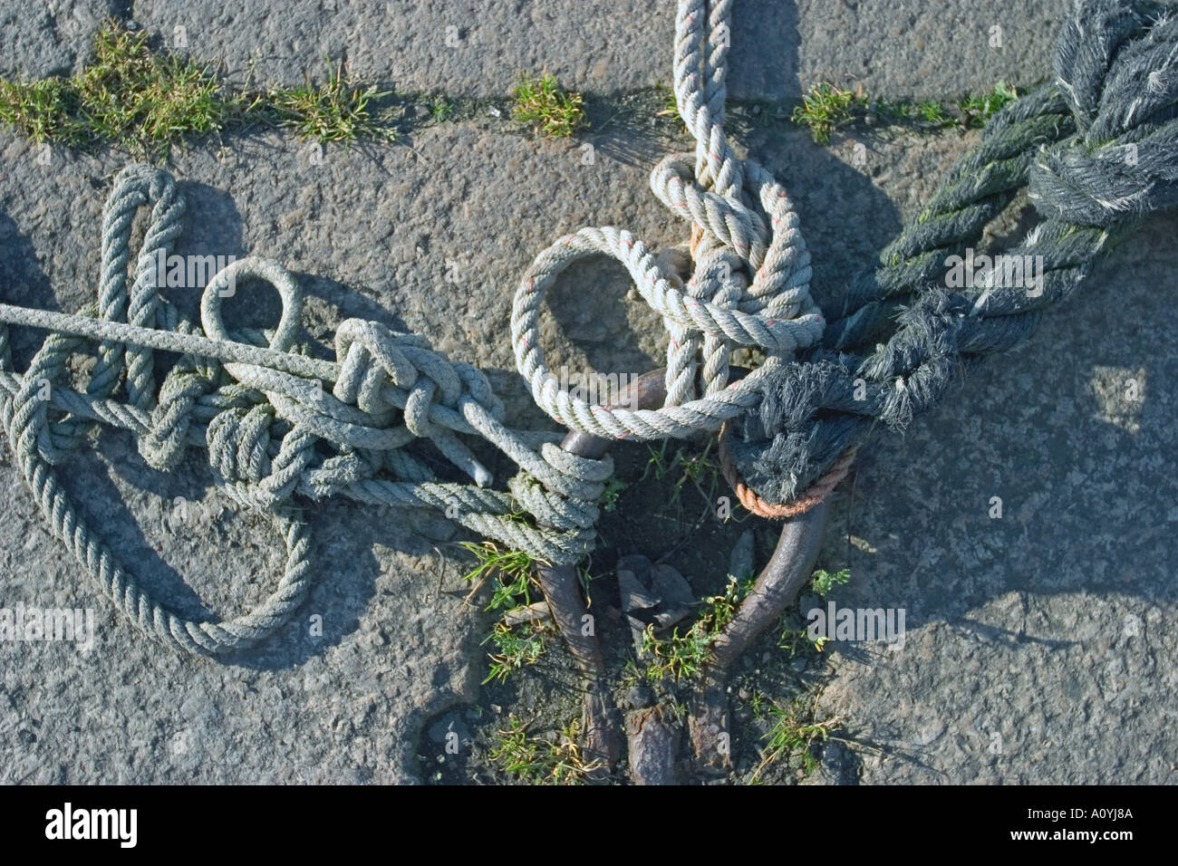 Shackle pole hi-res stock photography and images - Alamy