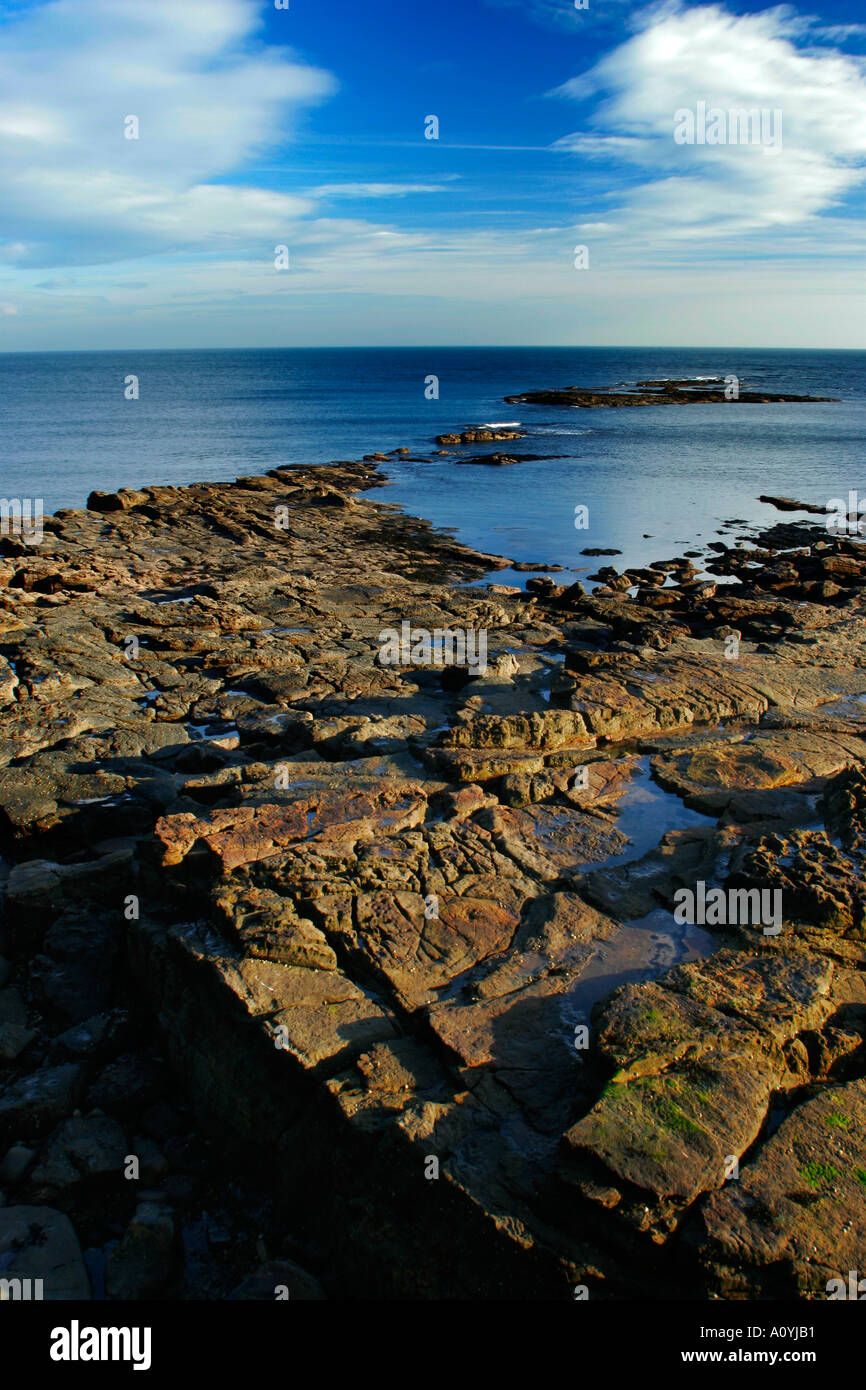 Newcastle england coastline hi-res stock photography and images - Alamy