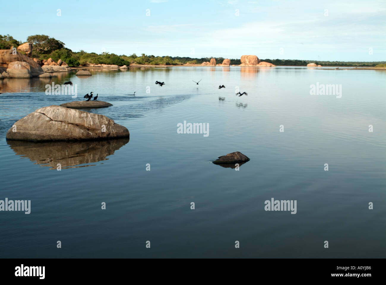 Rocks at yala national park hi-res stock photography and images - Alamy