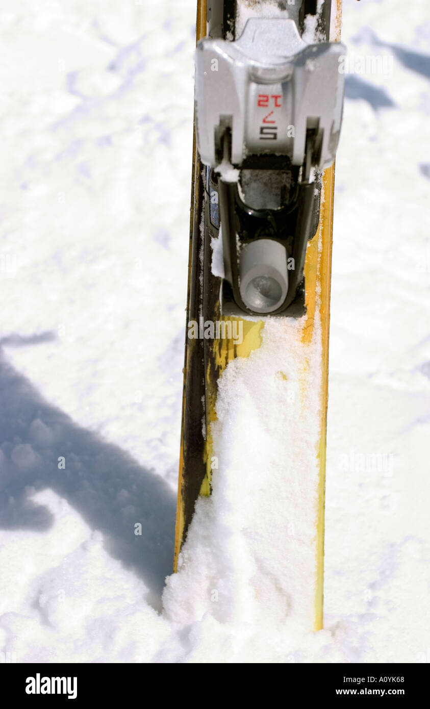 Duo skiing hi-res stock photography and images - Alamy