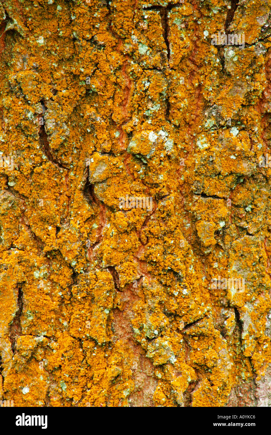 England west midlands highgate common hi-res stock photography and ...