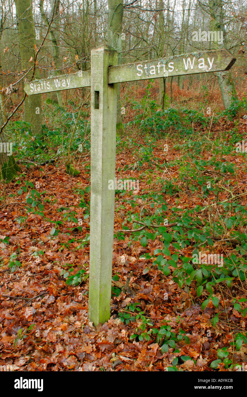 Highgate common hi-res stock photography and images - Alamy