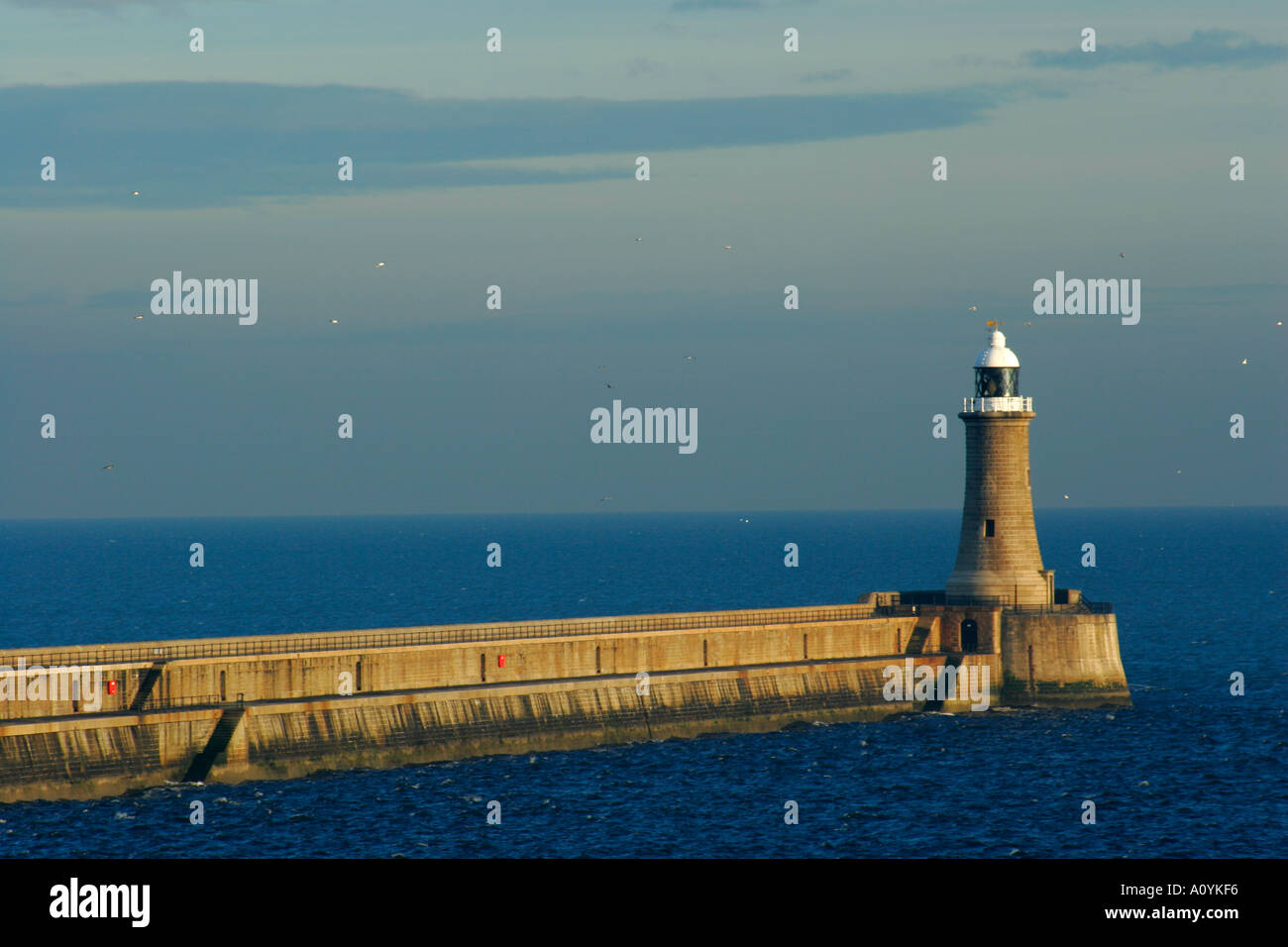 Tynemouth pier lighthouse newcastle hi-res stock photography and images ...