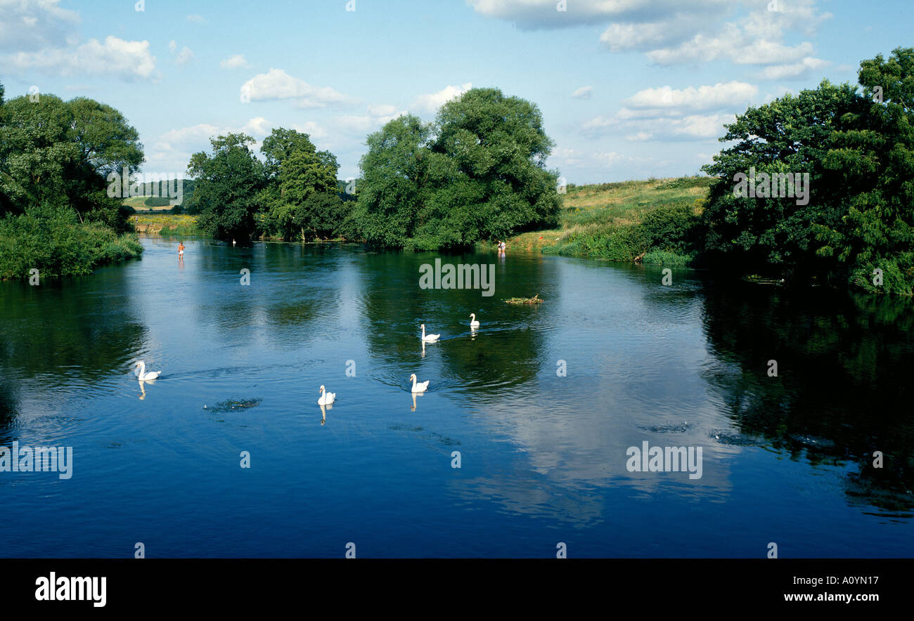 Peaceful river scene in Dorset Southern England Stock Photo - Alamy