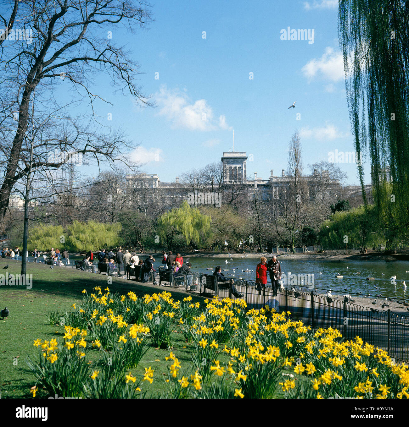 St James Royal Park in London in the early springtime Stock Photo - Alamy