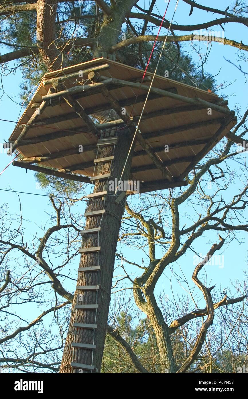 hutte in a tree Stock Photo - Alamy