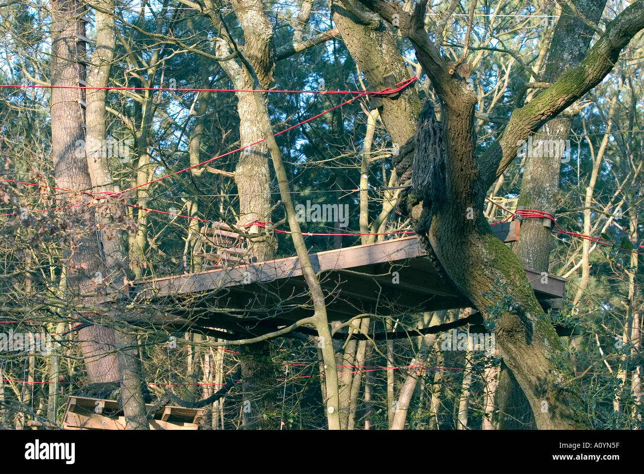 hutte in a tree Stock Photo - Alamy