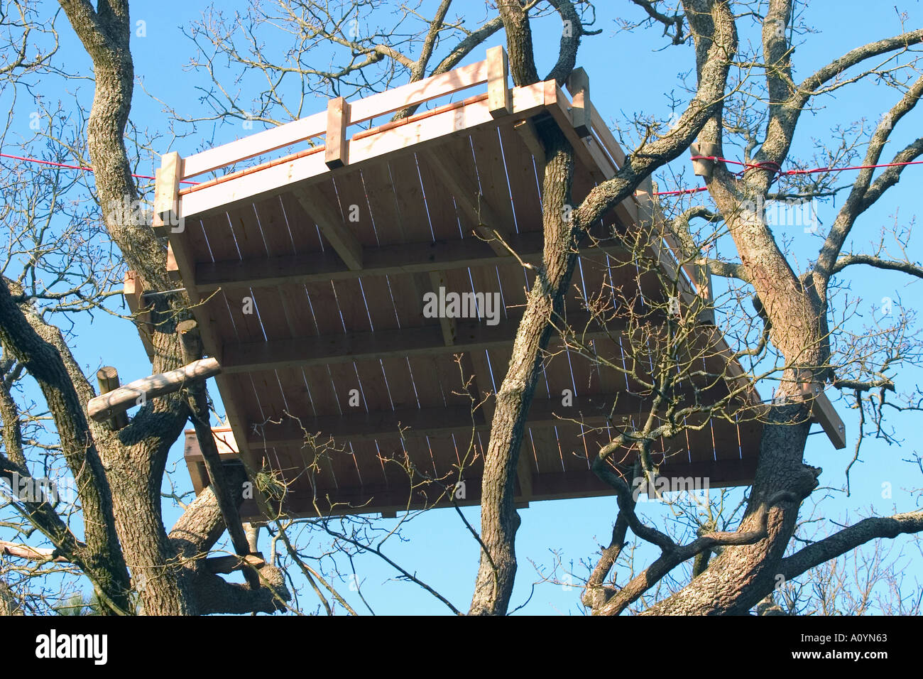 hutte in a tree Stock Photo - Alamy