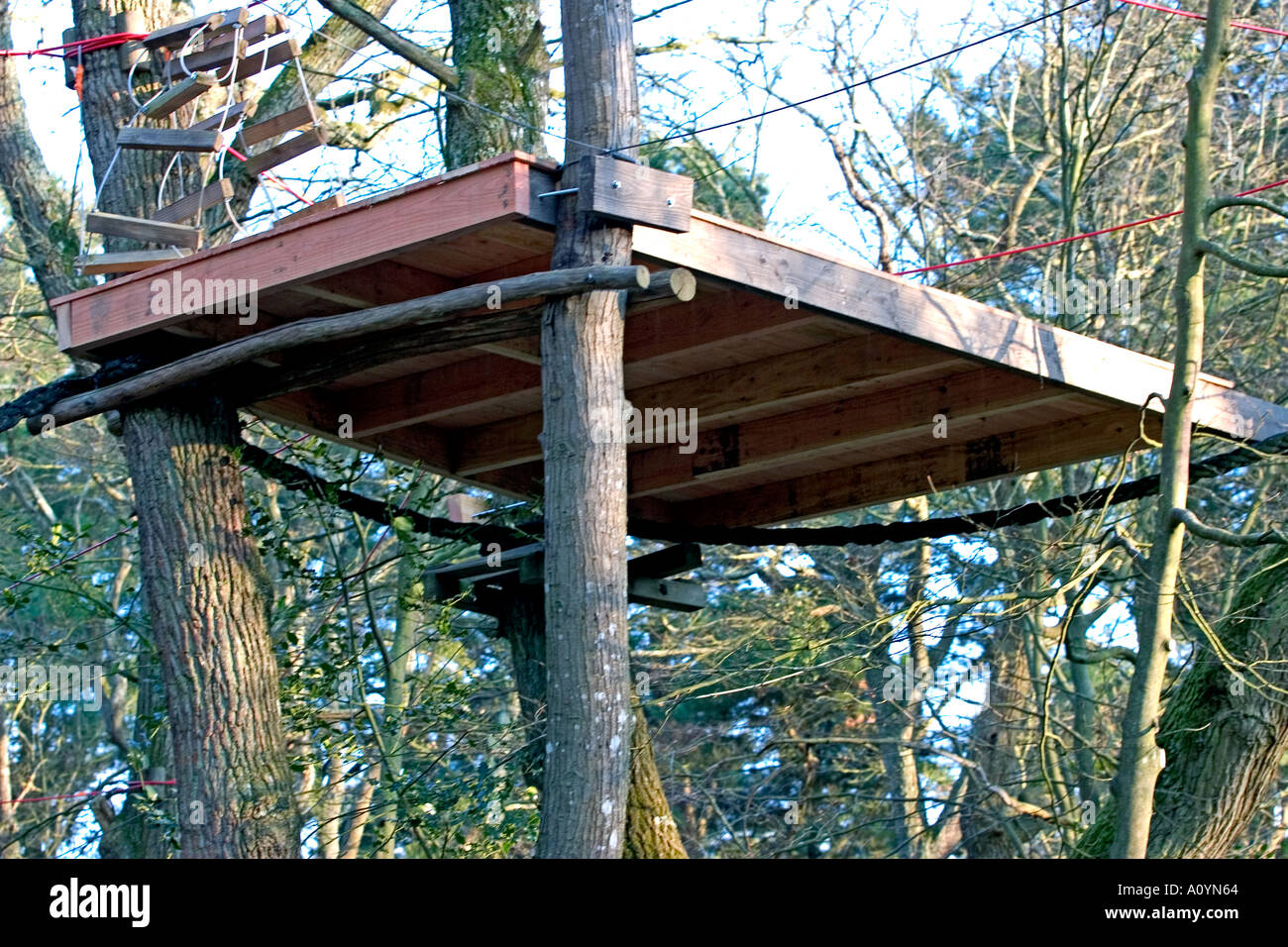 hutte in a tree Stock Photo - Alamy
