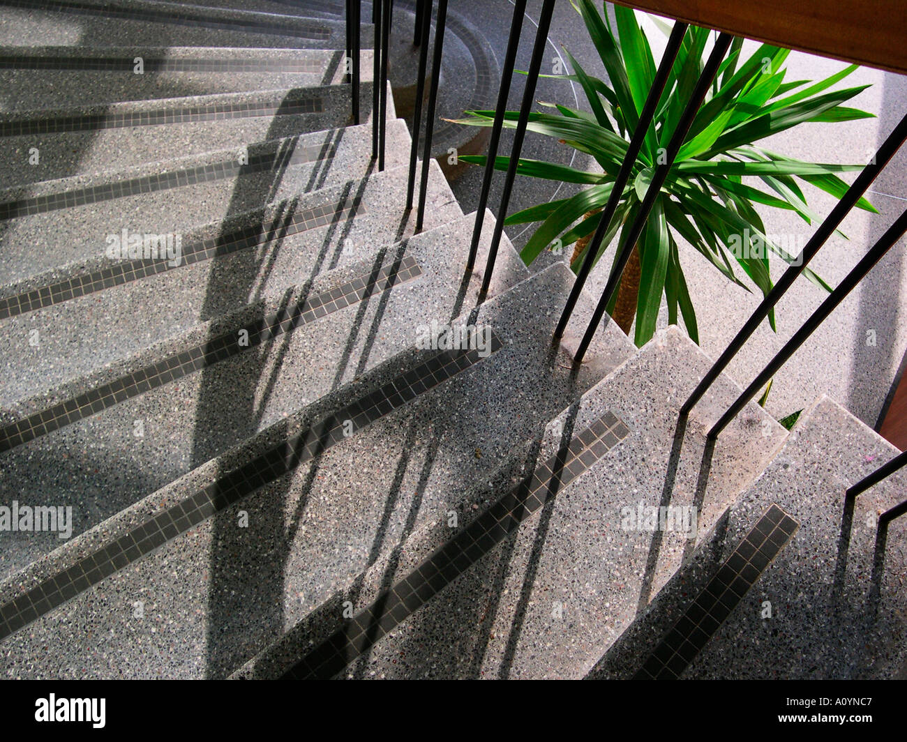 Stairs and plant Stock Photo - Alamy