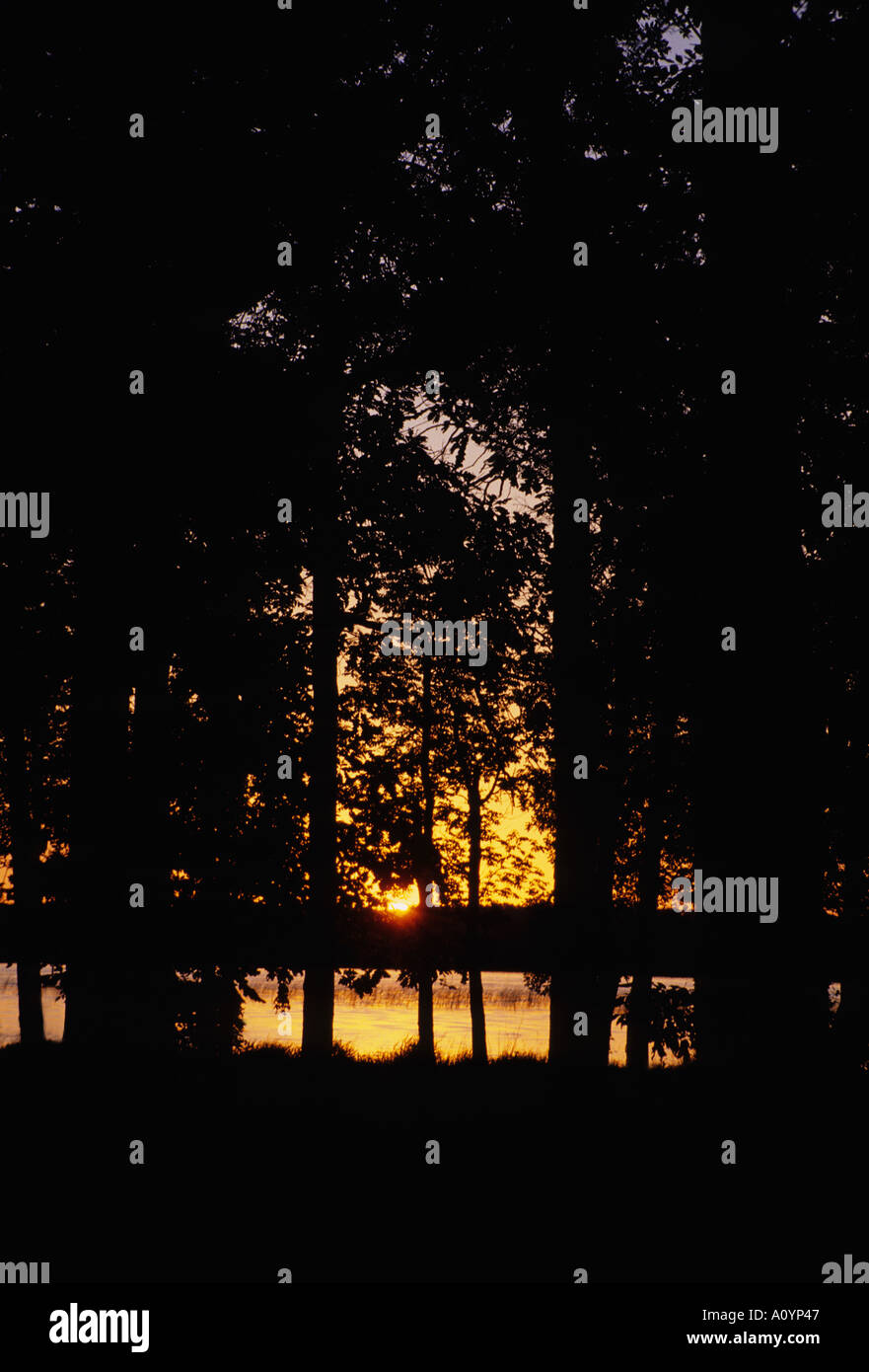 Minnesota lake sunset V 02 Stock Photo - Alamy
