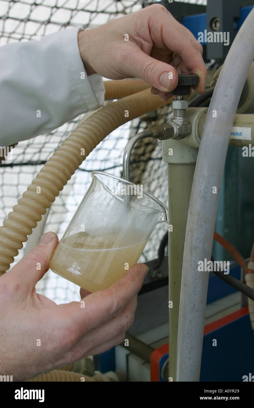 scientist checking purity of water being cleaned by electical filter ...