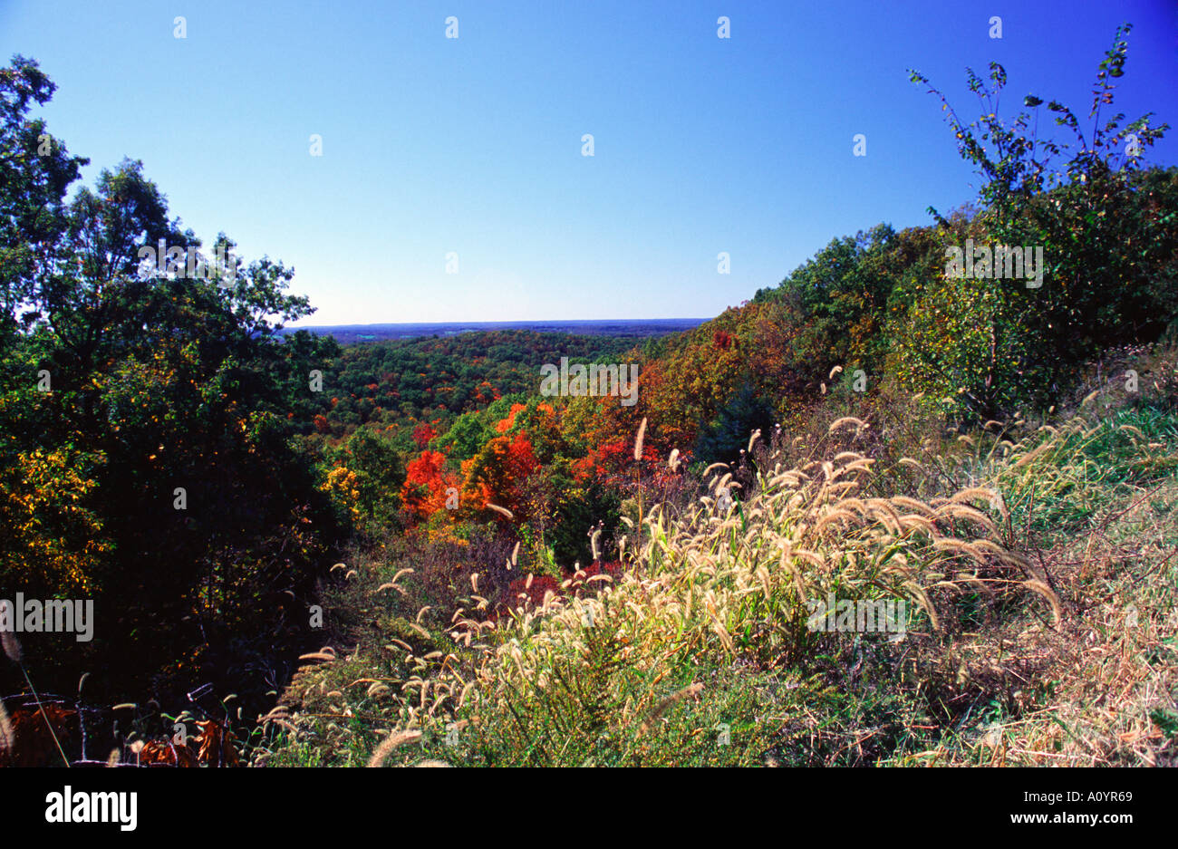 Ozark foothills hi-res stock photography and images - Alamy