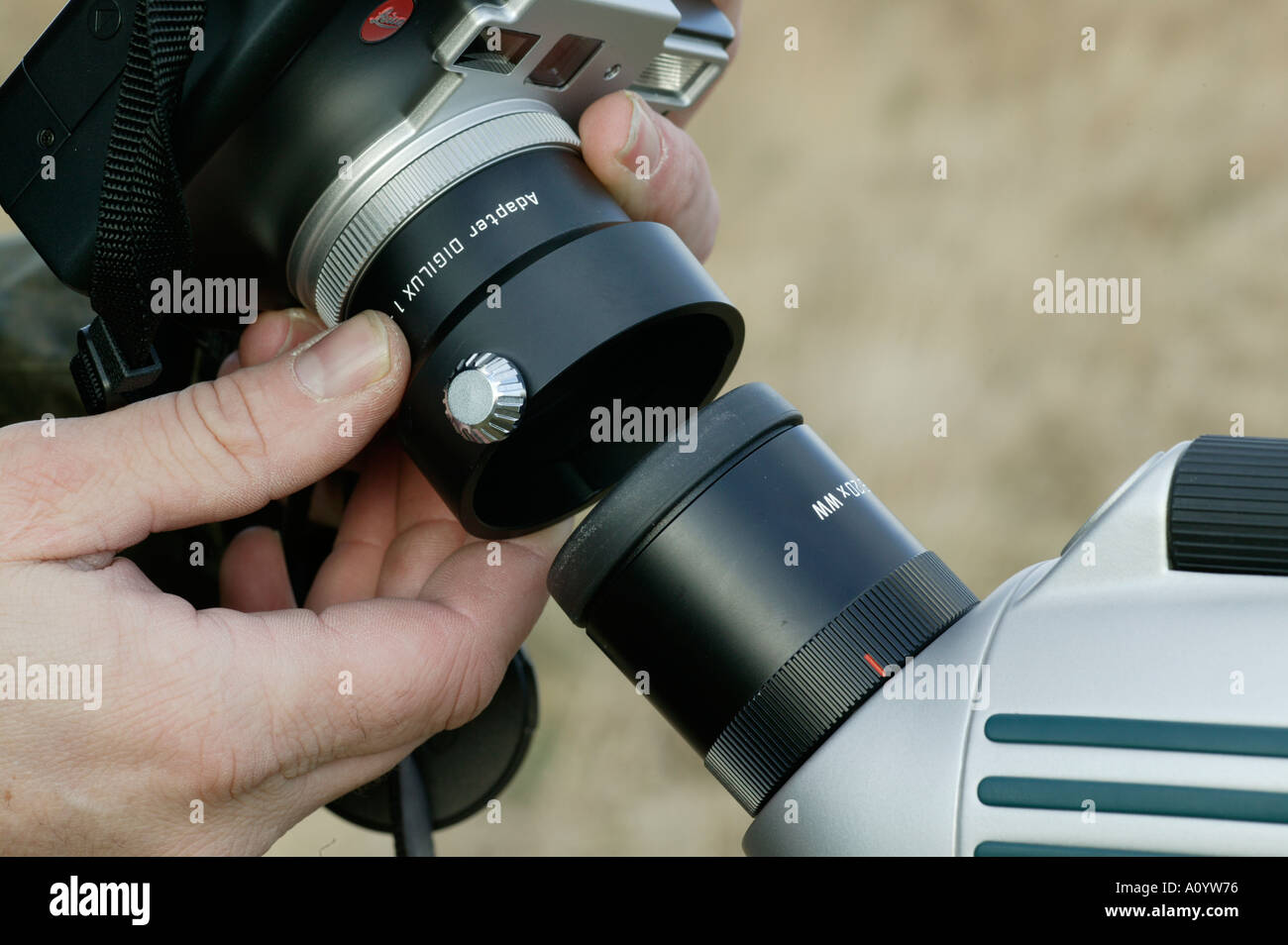 Digiscoping hi-res stock photography and images - Alamy