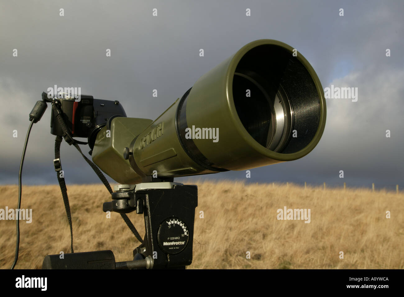 Birding photographs hi-res stock photography and images - Alamy